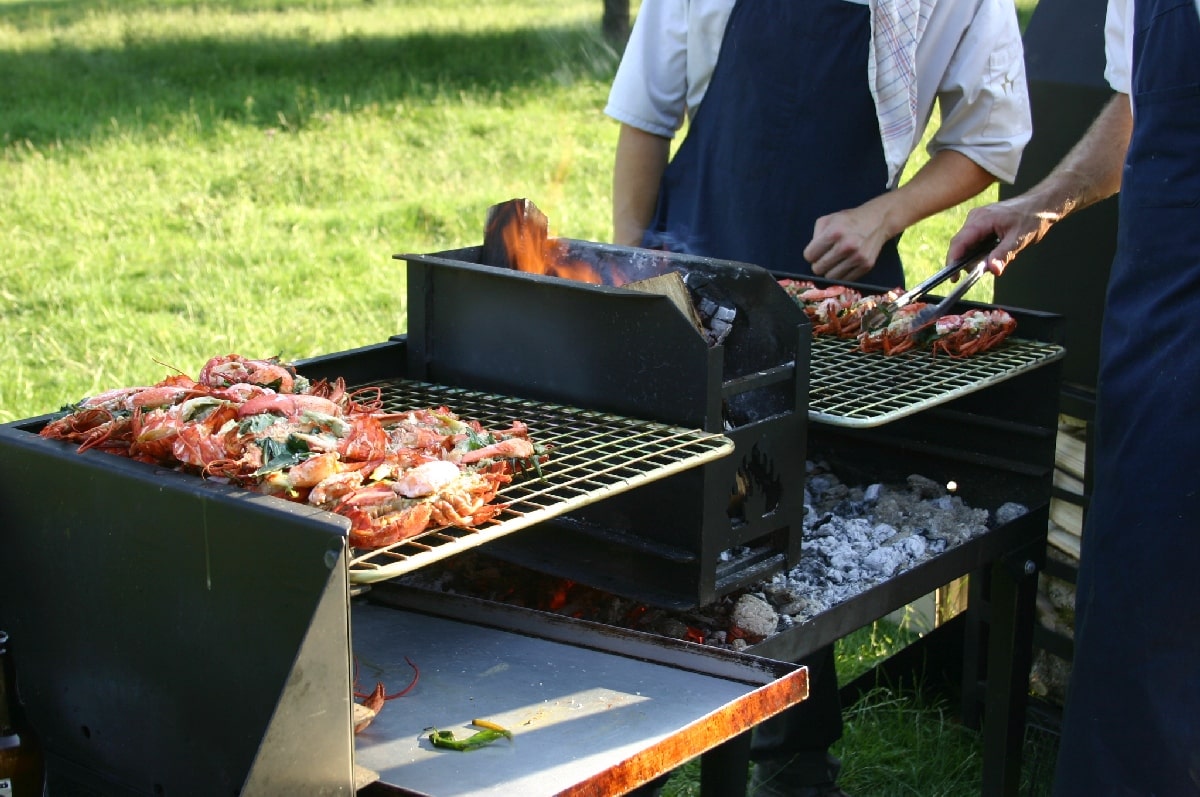 Mobile and Trolley Braais for Your Home in Cape Town - Home Fires